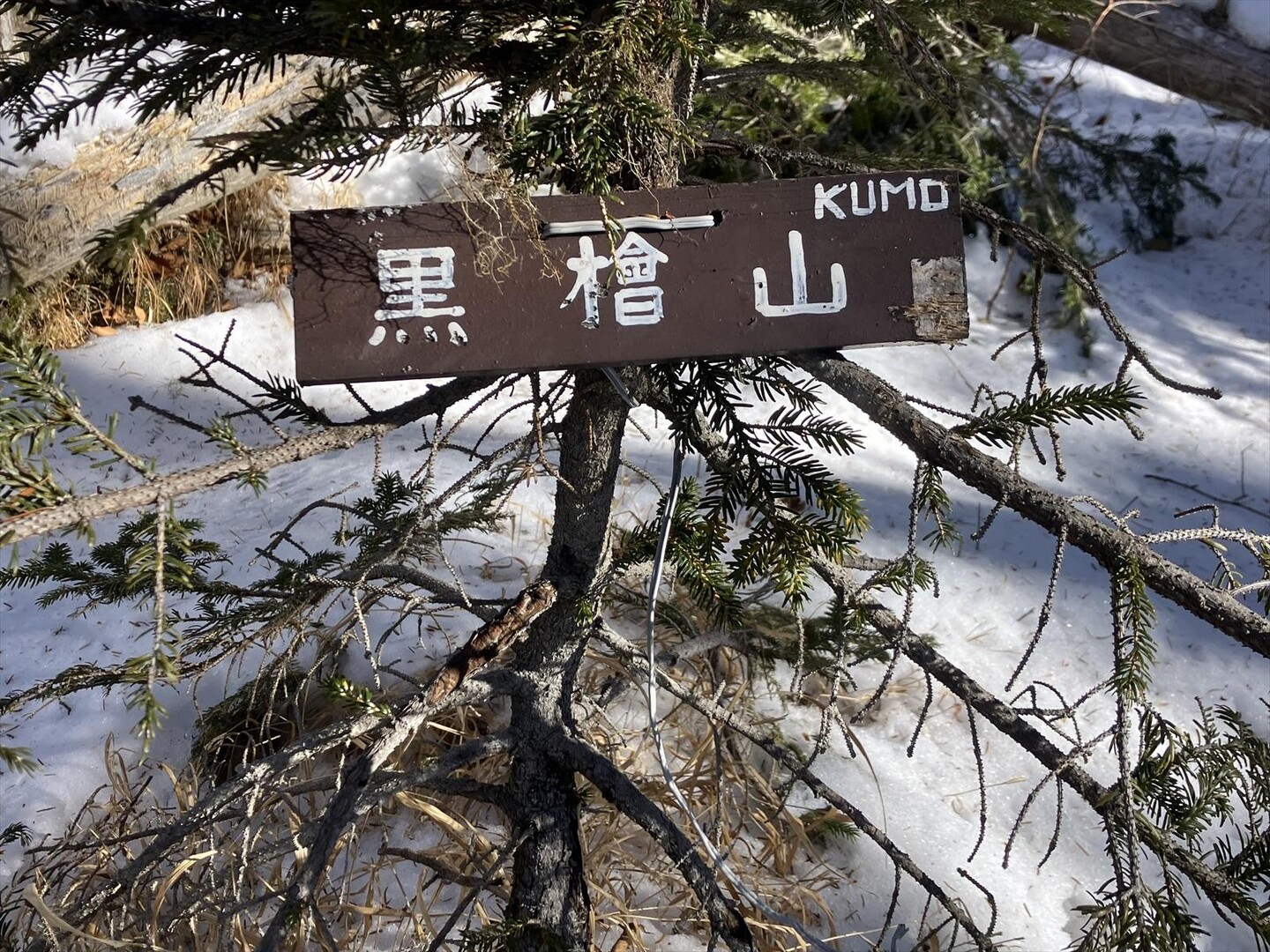 黒檜山【VR】（三峰川林道チャリ25km x2） / 大鷹さんの仙丈ヶ岳・伊那荒倉岳の活動日記 | YAMAP / ヤマップ