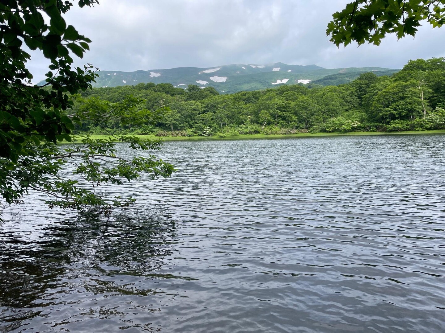 日本200名山 花の百名山の焼石岳 / M K1218さんの焼石岳・兎森山・鷲ヶ森山の活動データ | YAMAP / ヤマップ