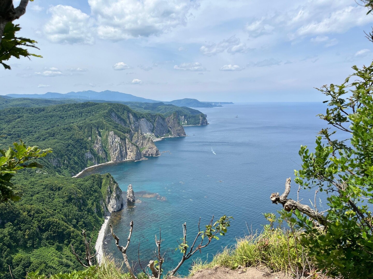 尻場山 / muraさんの尻場山の活動データ | YAMAP / ヤマップ