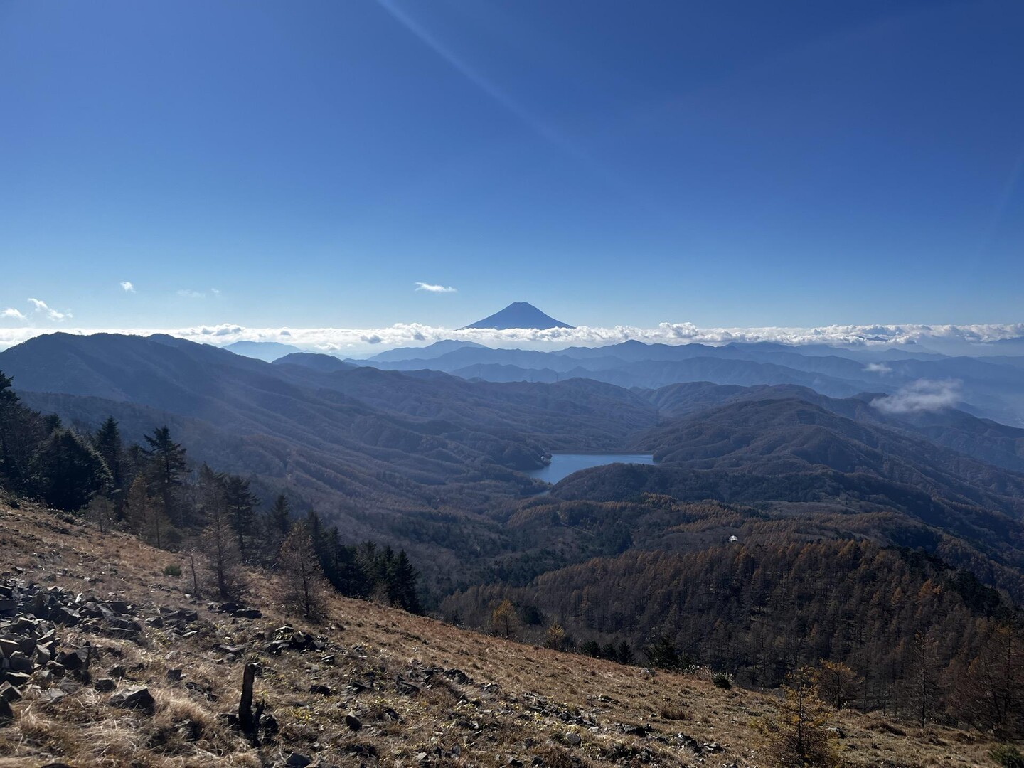 ピーカンの大菩薩嶺 / クレさんの大菩薩嶺・鶏冠山・大マテイ山の活動データ | YAMAP / ヤマップ