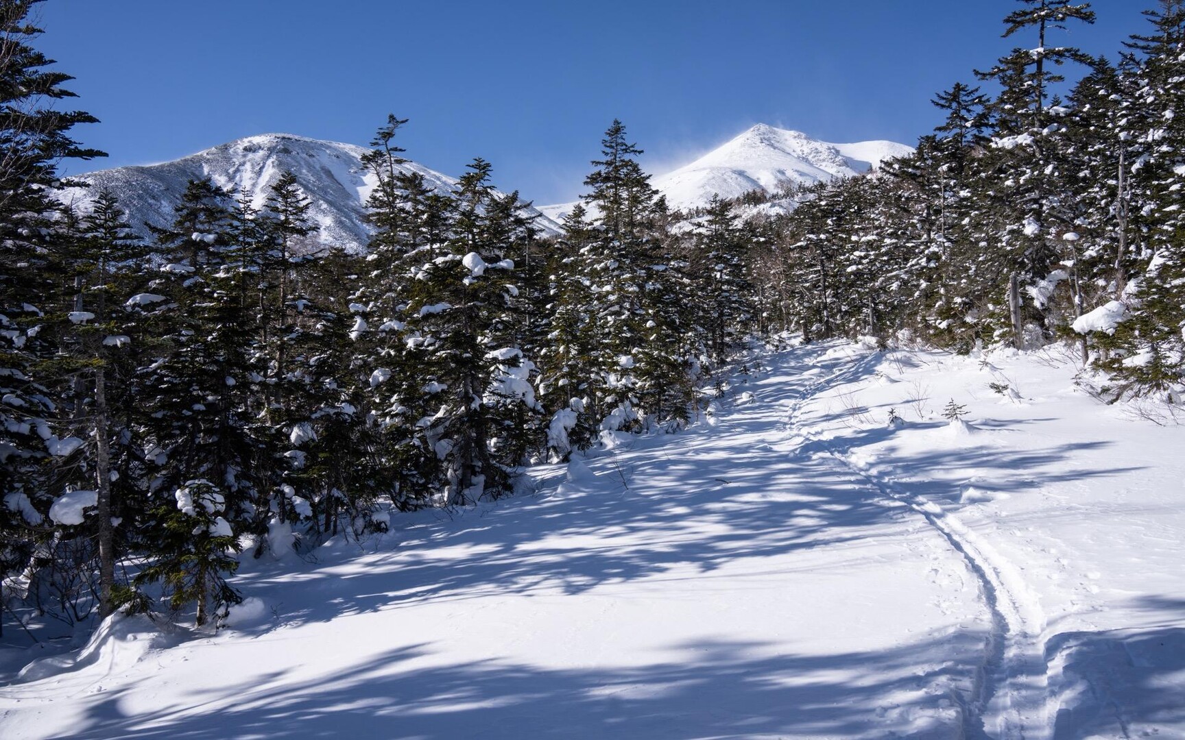 乗鞍岳-2024-12-12 / Ryoさんの乗鞍岳の活動データ | YAMAP / ヤマップ