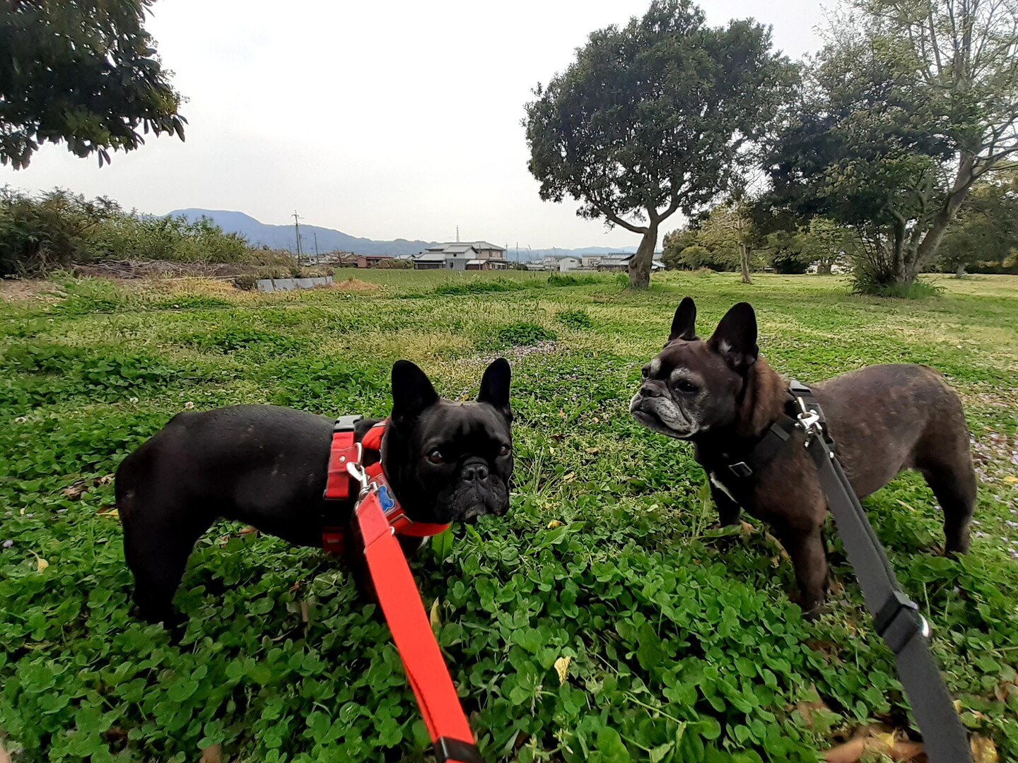 いい天気なので お山じゃないけど… 龍門... / Noriさんのモーメント | YAMAP / ヤマップ