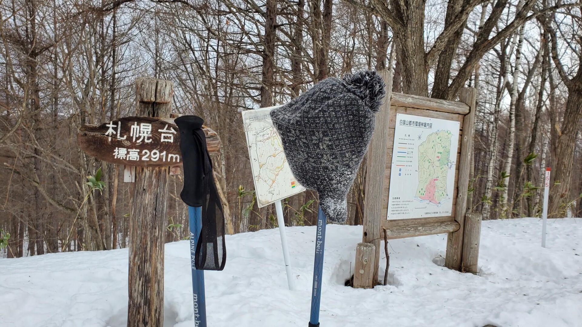 月寒台～白旗山deスノーシュー / あるふぉんすさんの白旗山の活動データ | YAMAP / ヤマップ