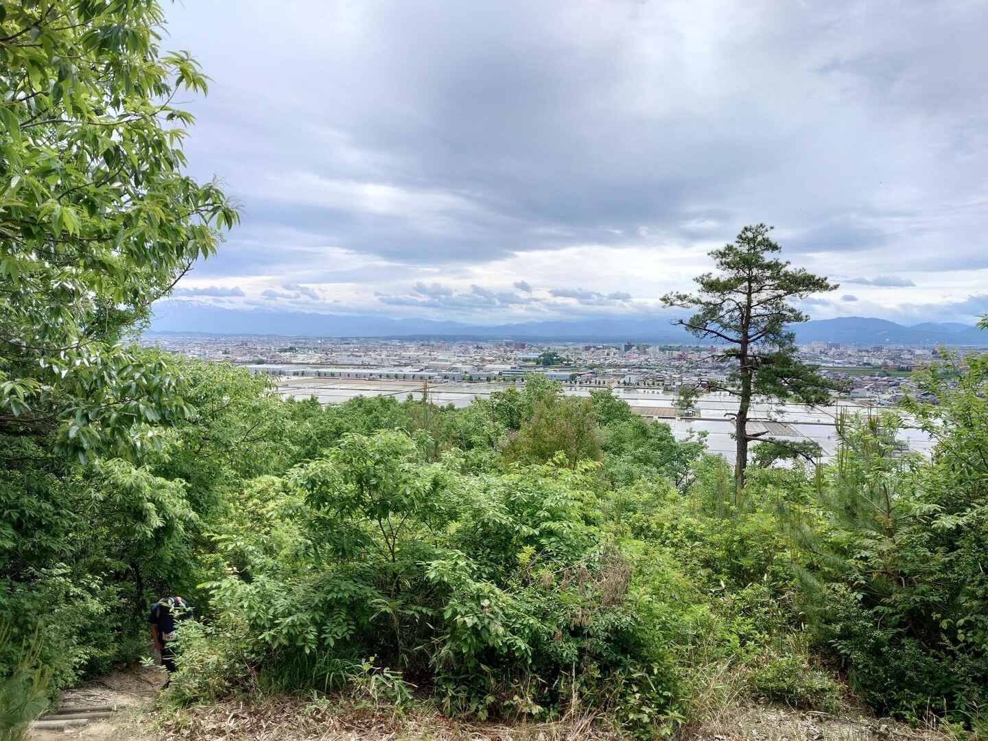 第3回二上山トレイルラン 〜10kmコース〜 / kt-yさんの二上山・大師ヶ岳・摩頂山の活動データ | YAMAP / ヤマップ