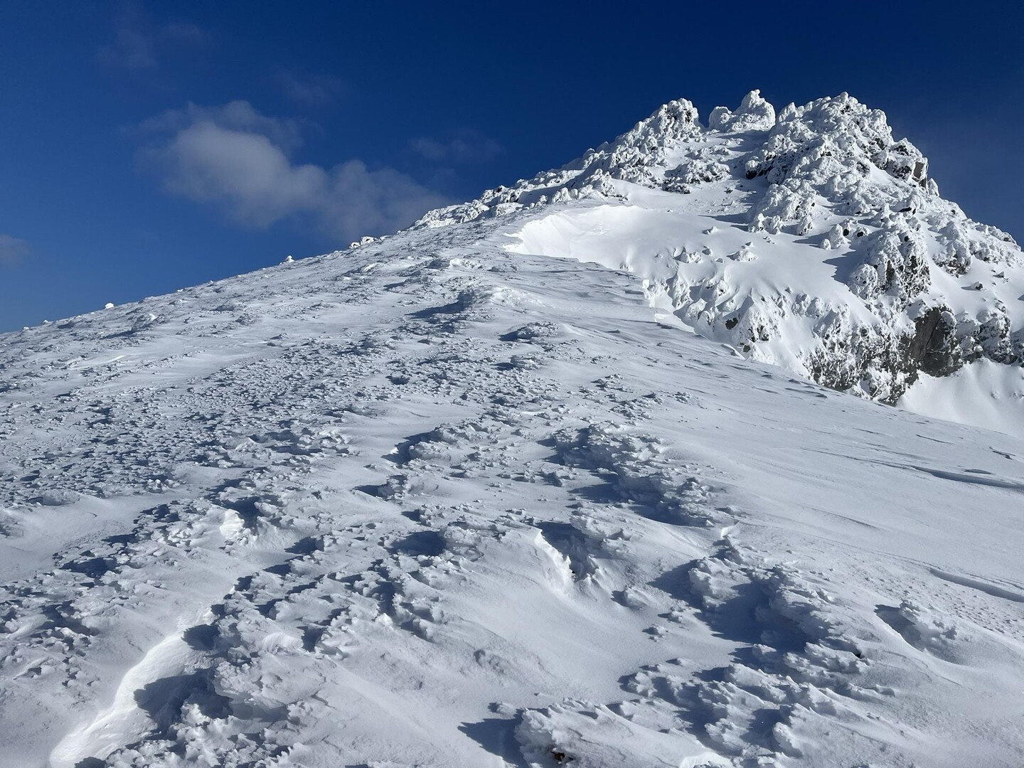 駒ヶ岳 P4基部 函中沢沿い / hynkさんの北海道駒ヶ岳（蝦夷駒ヶ岳・渡島駒ヶ岳）の活動データ | YAMAP / ヤマップ