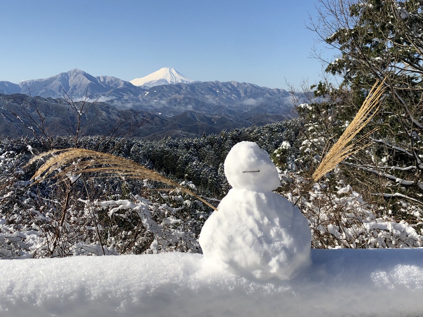 山呑み(高尾山・景信山)-2020-01-19 / Samuraiさんの高尾山・陣馬山・景信山の活動データ | YAMAP / ヤマップ