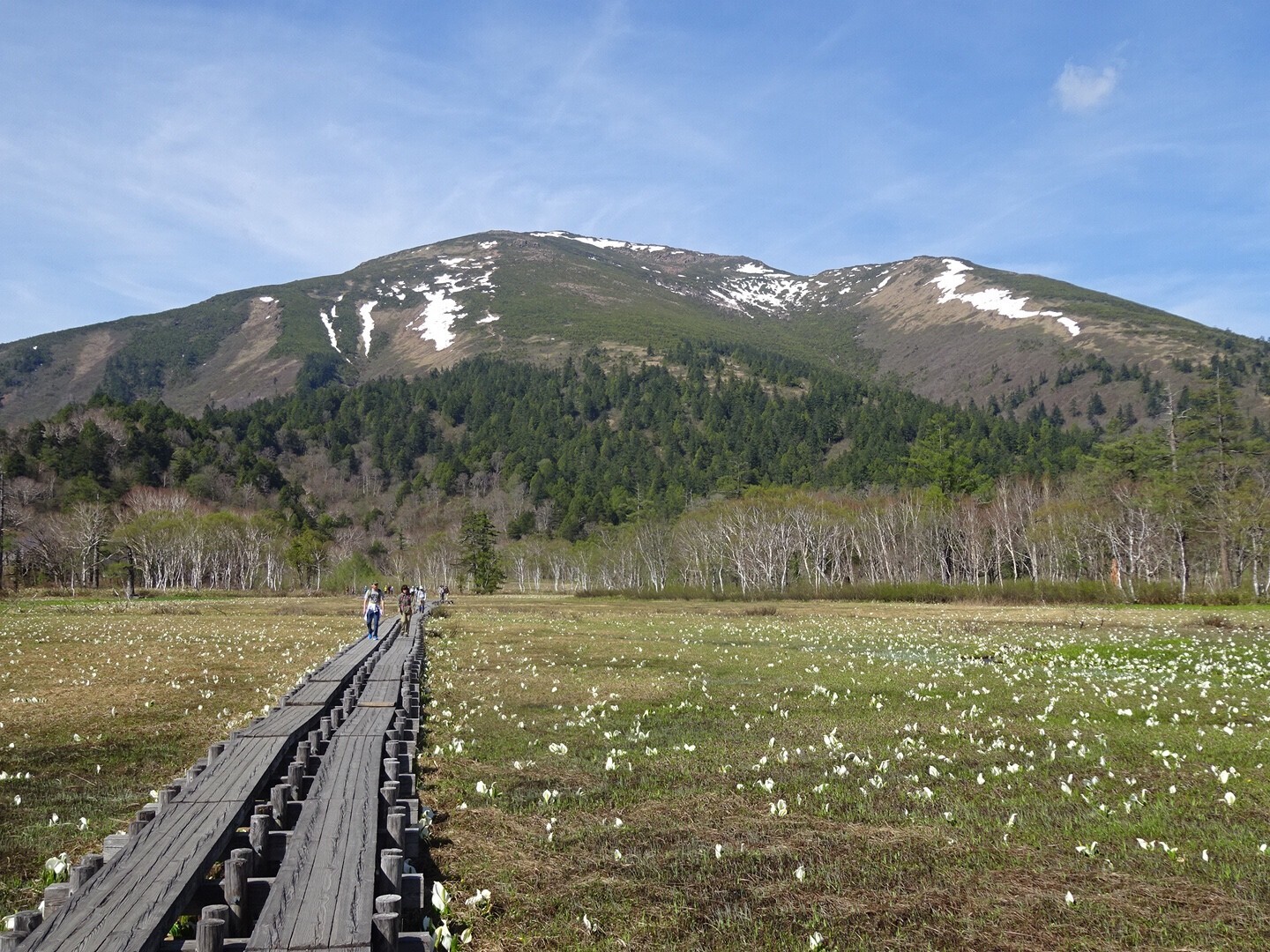 水芭蕉の尾瀬！またもや満腹の女子ツアー / reiさんの尾瀬・燧ヶ岳の活動日記 | YAMAP / ヤマップ