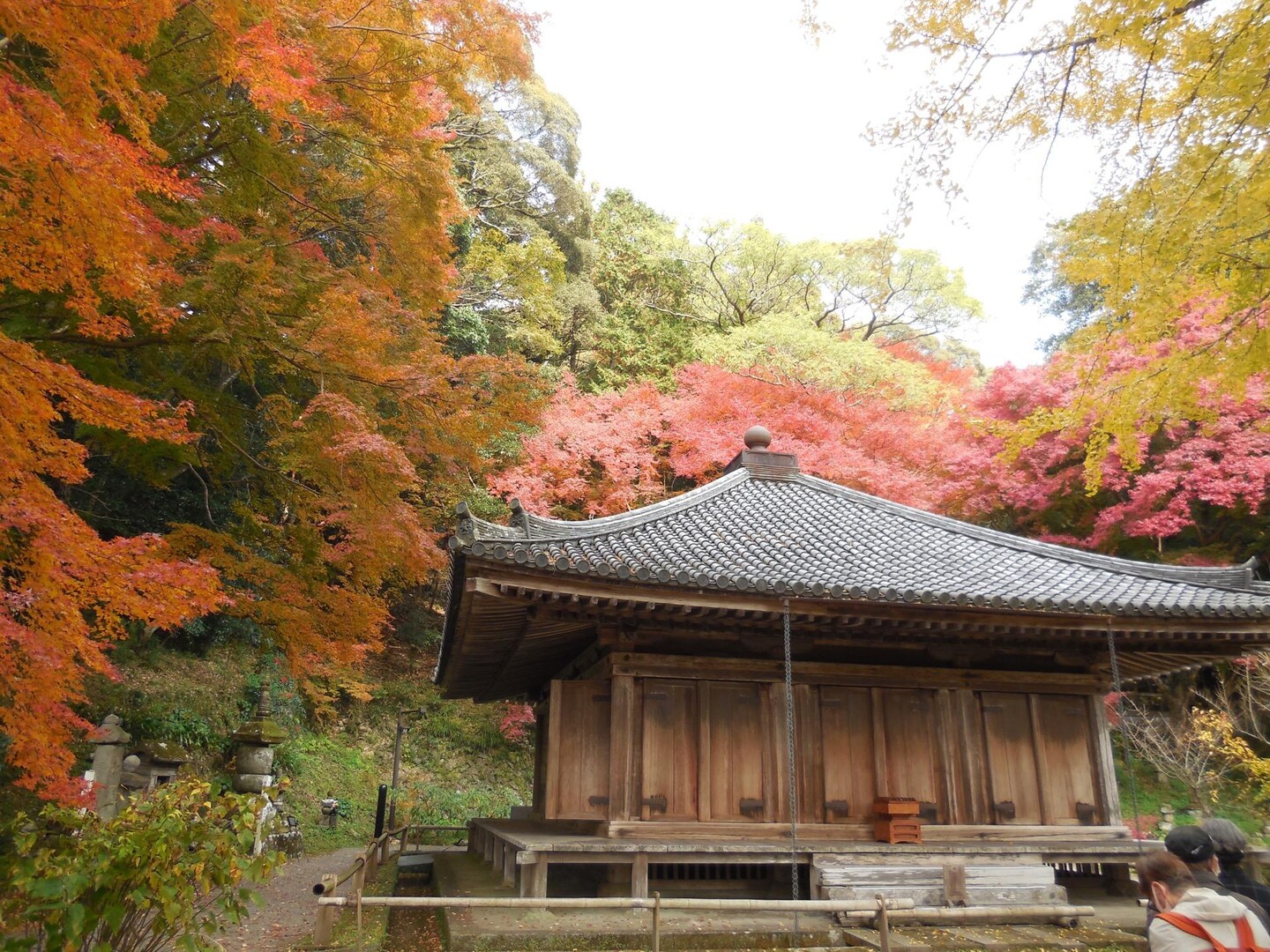六郷満山（国東半島）ロングトレイルT-2 -2024-12-06 / やまちゃんさんの六郷満山（国東半島）の活動日記 | YAMAP / ヤマップ