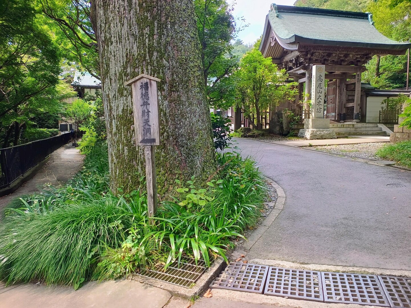 ゆるゆる高尾山 / nao.okさんの高尾山・陣馬山・景信山の活動データ | YAMAP / ヤマップ