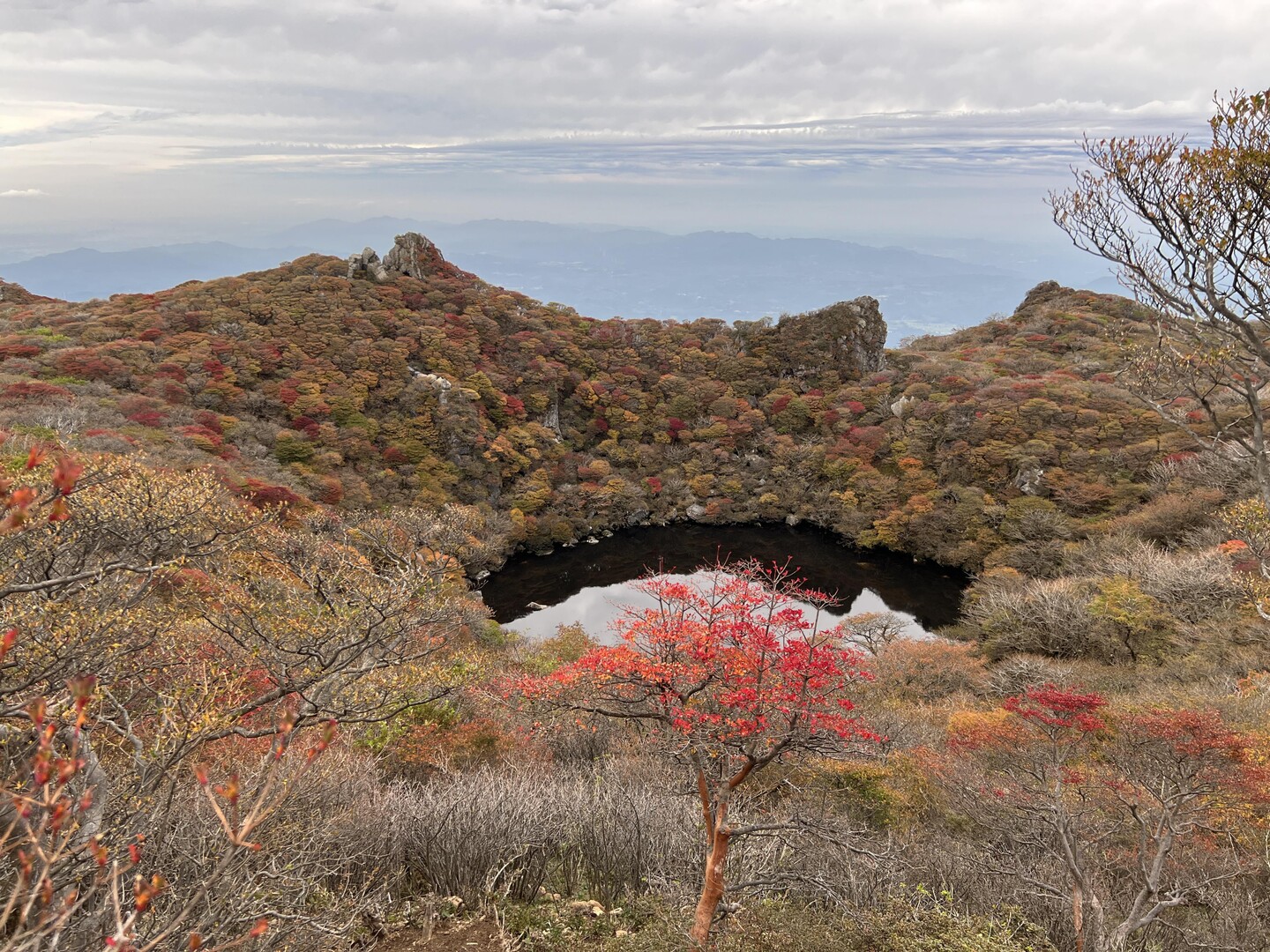 1日目 坊がつる～大船山～法華院温泉山荘宿泊 やっと行けた！ / つーさんの九重山（久住山）・大船山・星生山の活動データ | YAMAP / ヤマップ