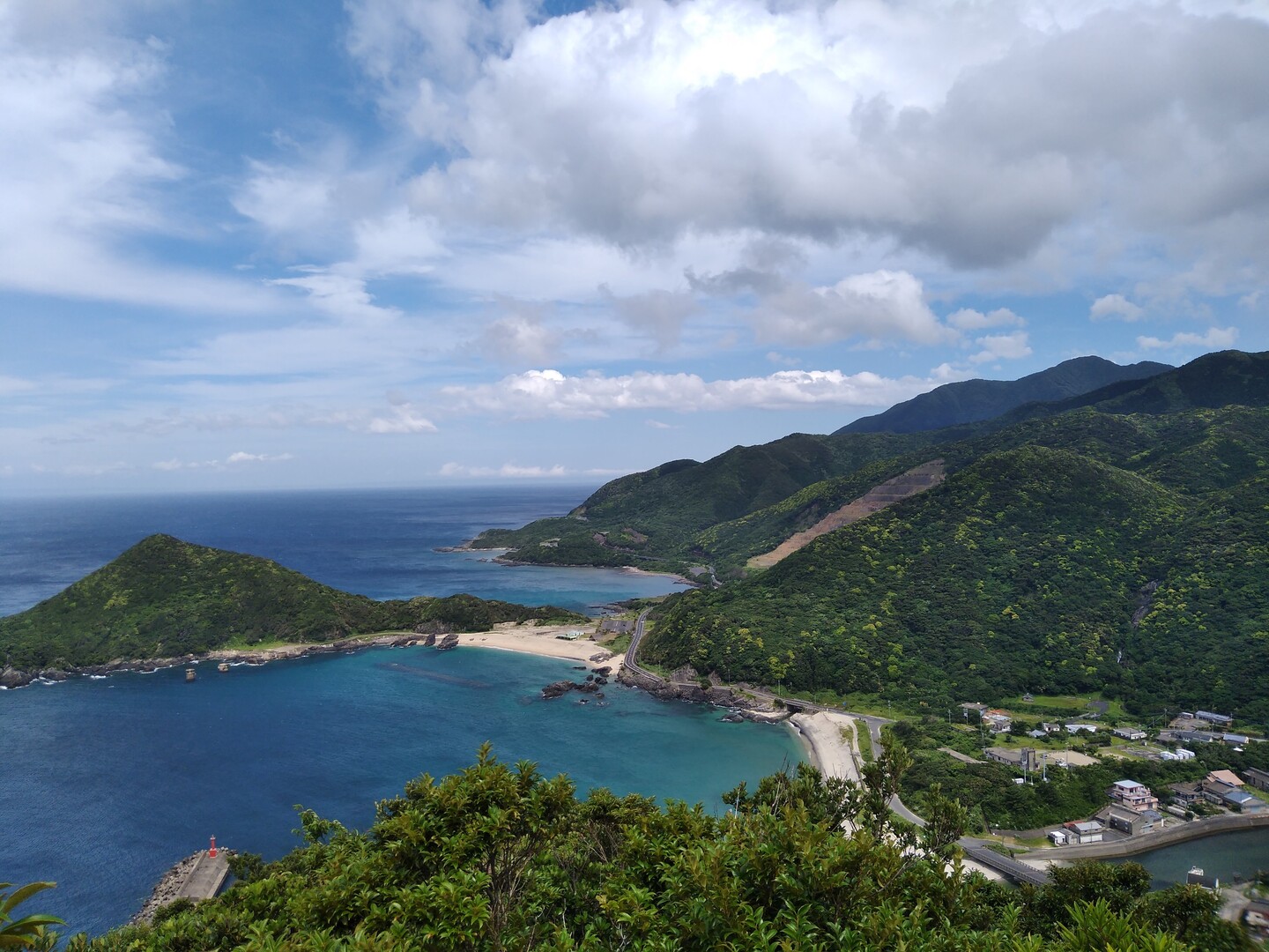 屋久島番屋峰-2020-06-14 / yakushima.ryoさんの屋久島・宮之浦岳の活動日記 | YAMAP / ヤマップ
