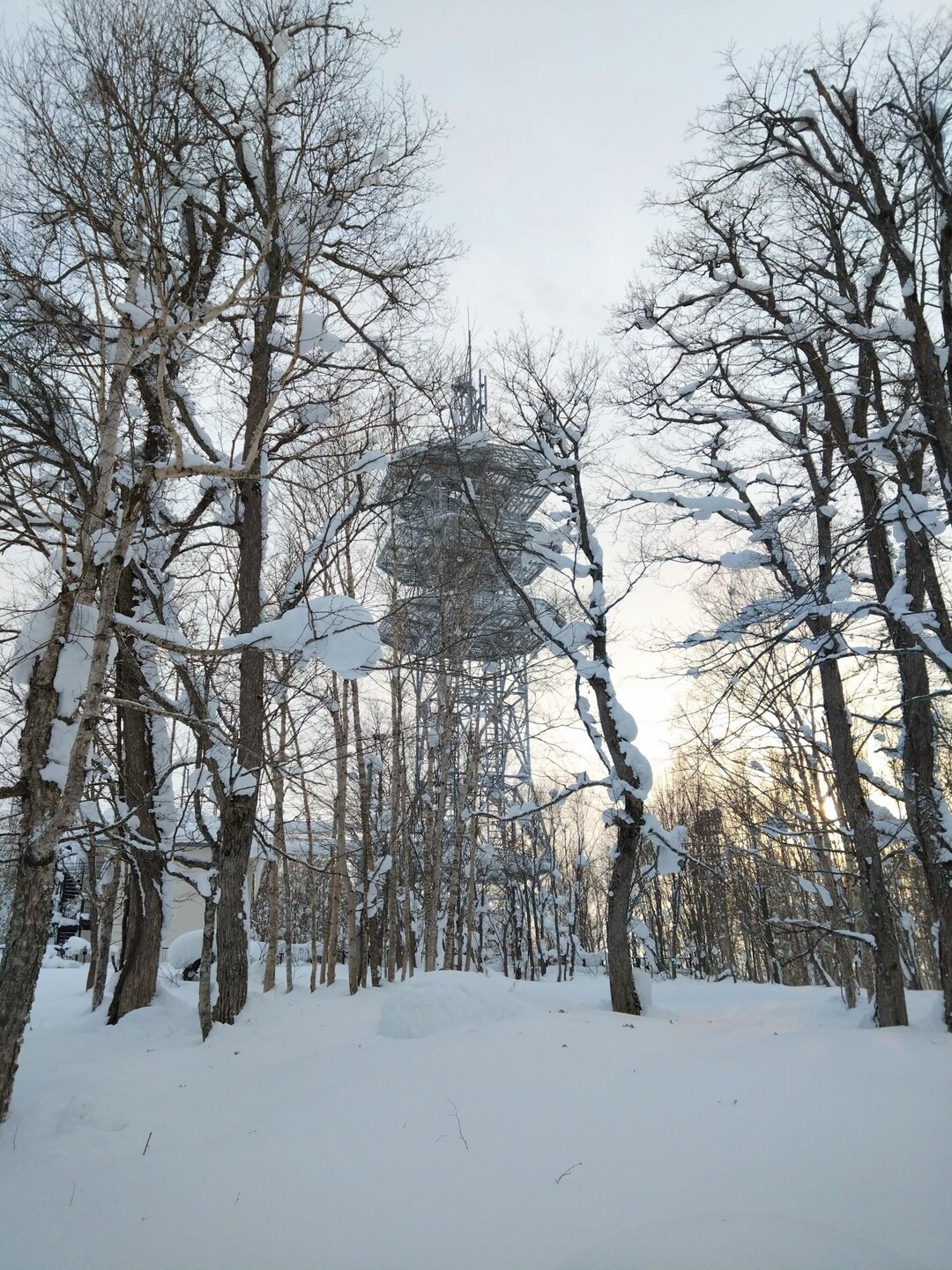 塩狩山 / kiyo-ibaさんの増子山・塩狩山・千歳山の活動日記 | YAMAP / ヤマップ