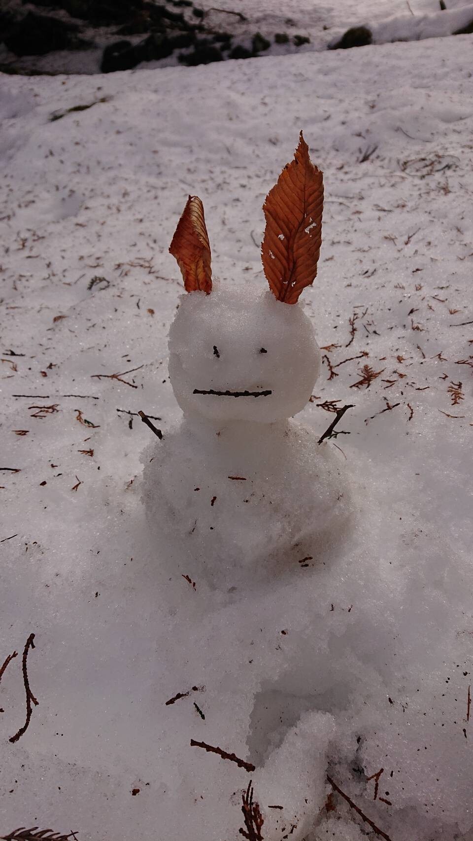 青笹山 思いがけない2度目の雪⛄ / y☆shiさんのモーメント | YAMAP / ヤマップ