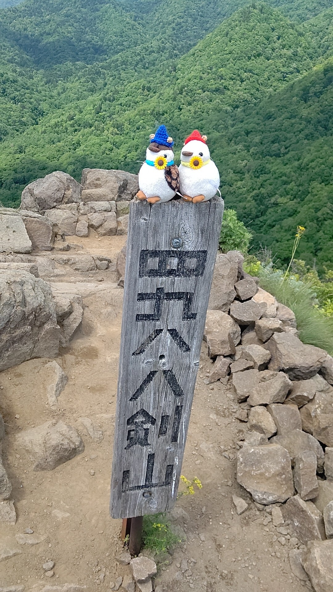 観音岩山（八剣山） / *yukapico**さんの観音岩山（八剣山）の活動データ | YAMAP / ヤマップ