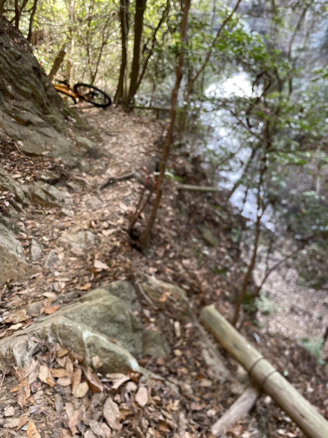 chitoさんの投稿したフィールドメモ | YAMAP / ヤマップ