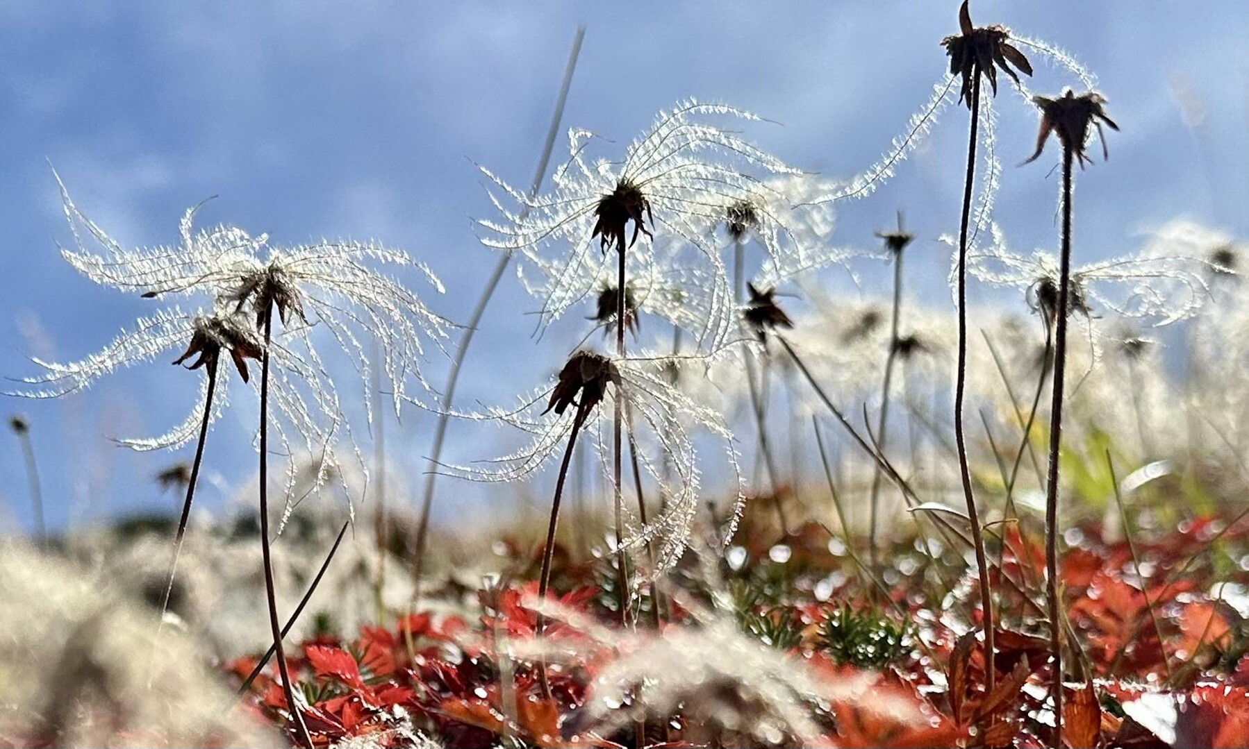 始まりの場所へ / satokoさんの立山・雄山・浄土山の活動データ | YAMAP / ヤマップ