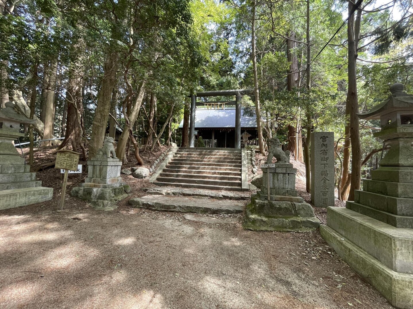 春の遠足、金剛山 / do-kichiさんの金剛山・二上山・大和葛城山の活動データ | YAMAP / ヤマップ