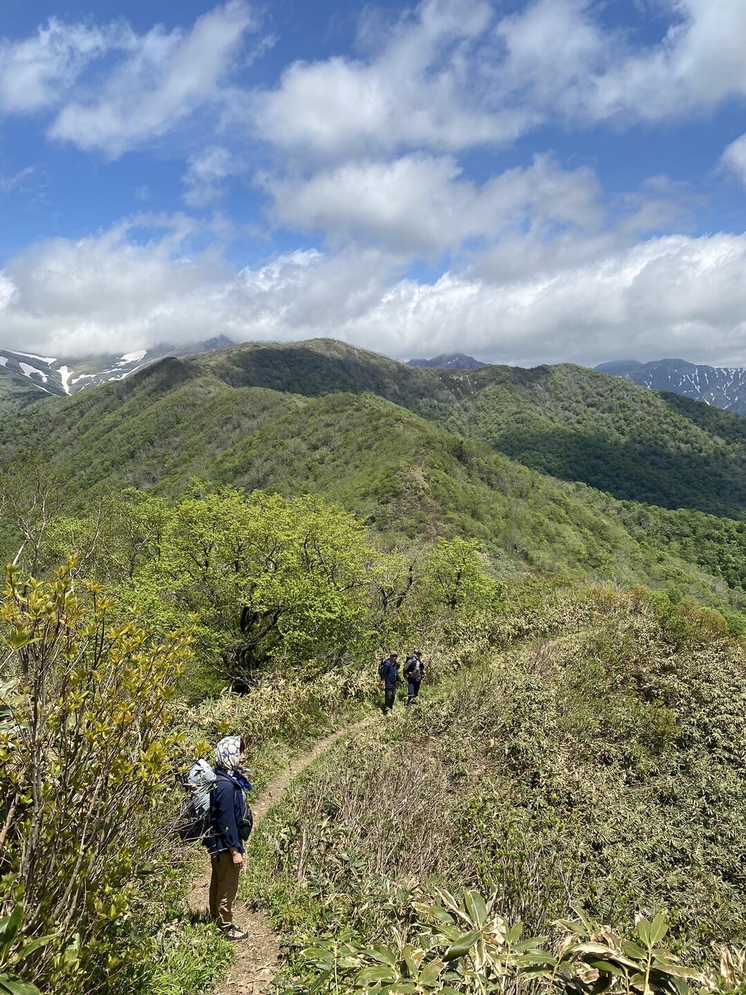 花の三国山〜三角山 平標山ノ家泊 / akko0502さんの仙ノ倉山・平標山・大源太山の活動データ | YAMAP / ヤマップ