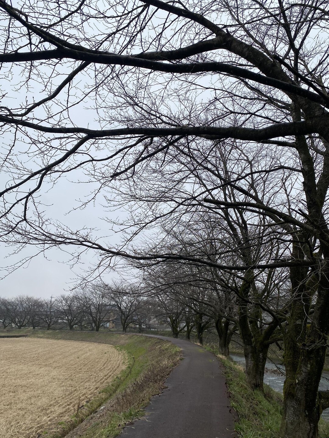 ️️ 啓蟄 ️ 3月5日は、二十四... / meshiさんのモーメント | YAMAP / ヤマップ