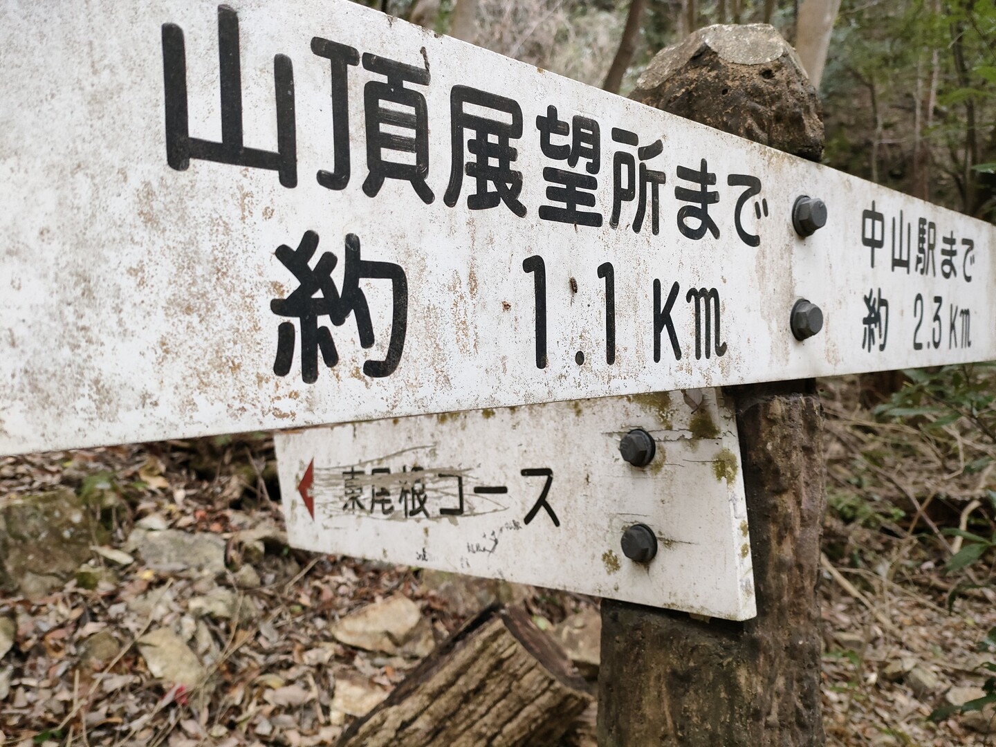 you1 さんの投稿したフィールドメモ | YAMAP / ヤマップ