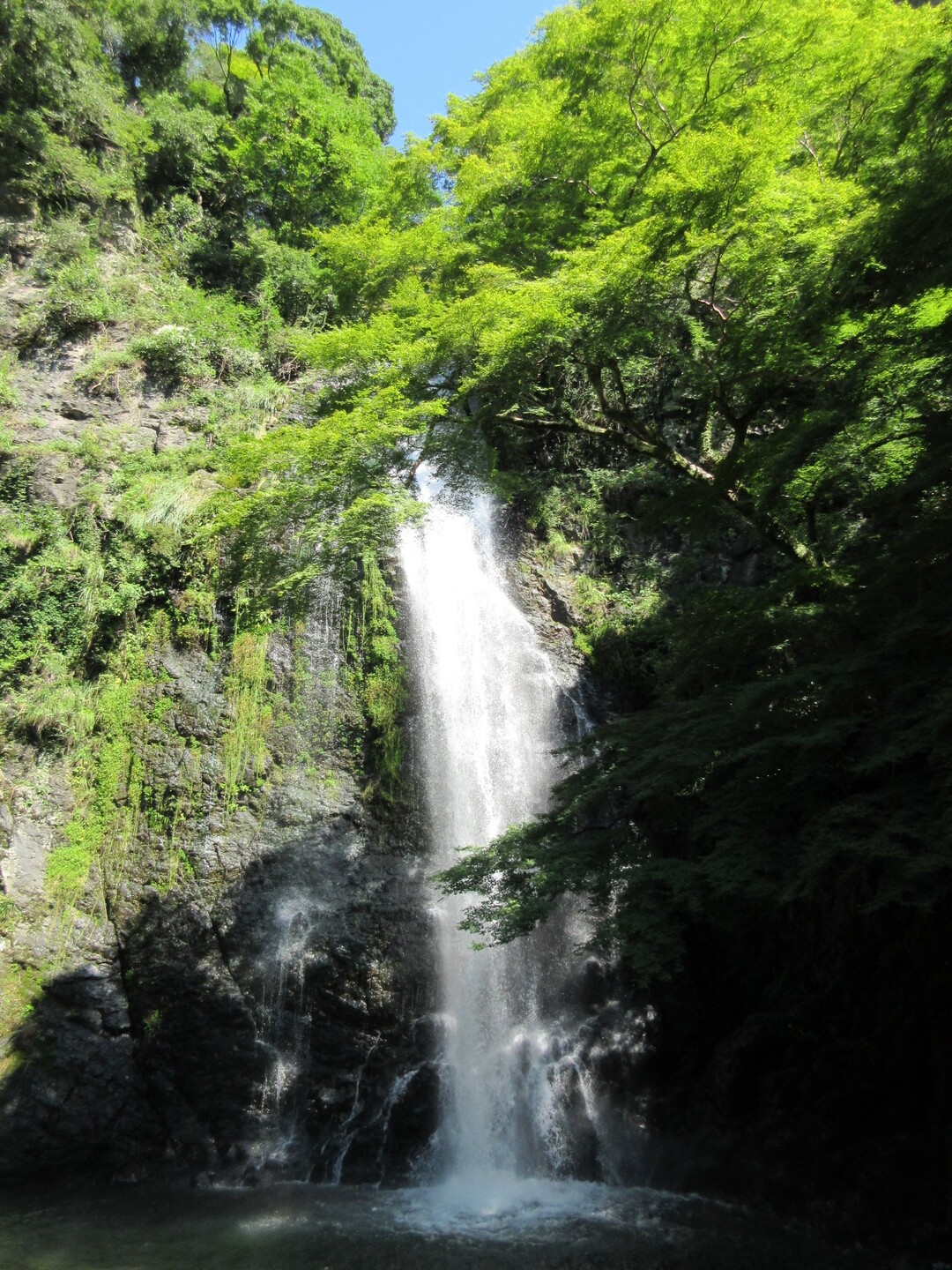 【めざせSTM】証如峰・最勝ヶ峰・六個山・五月山（泉原バス停🚏⇒阪急川西能勢口駅） / はる さんの六個山・鉢伏山・明ヶ田尾山・五月山の活動データ | YAMAP / ヤマップ