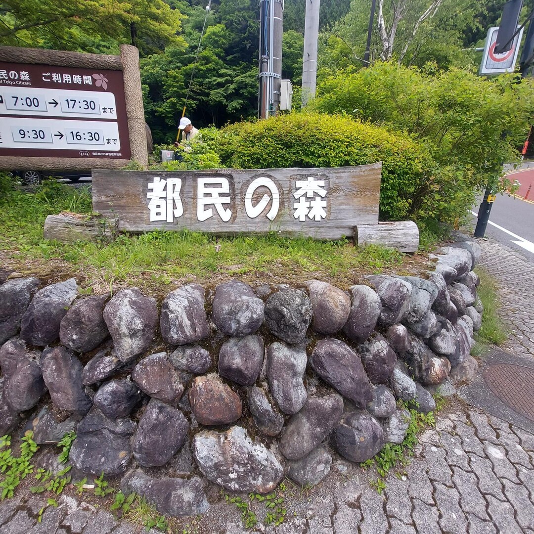 払沢の滝～都民の森 / Never_give_up_TATSUYAさんの大岳山・御岳山・御前山の活動データ | YAMAP / ヤマップ