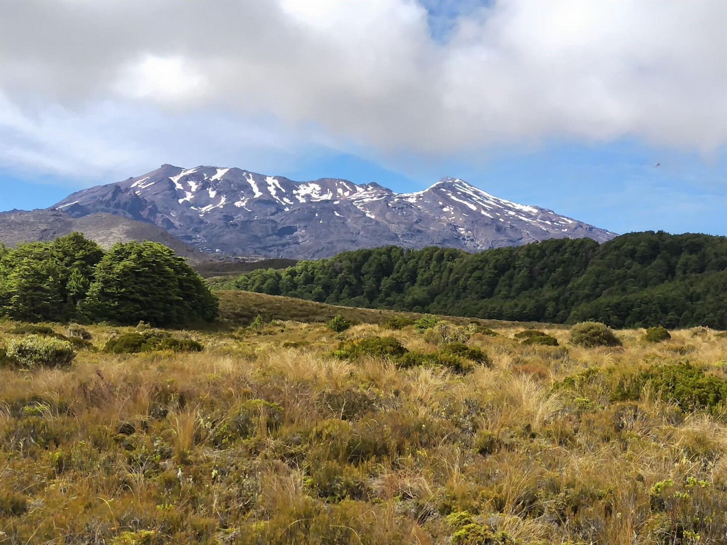 Whakapapaiti track / わんちゃんさんのトンガリロ国立公園の活動データ | YAMAP / ヤマップ