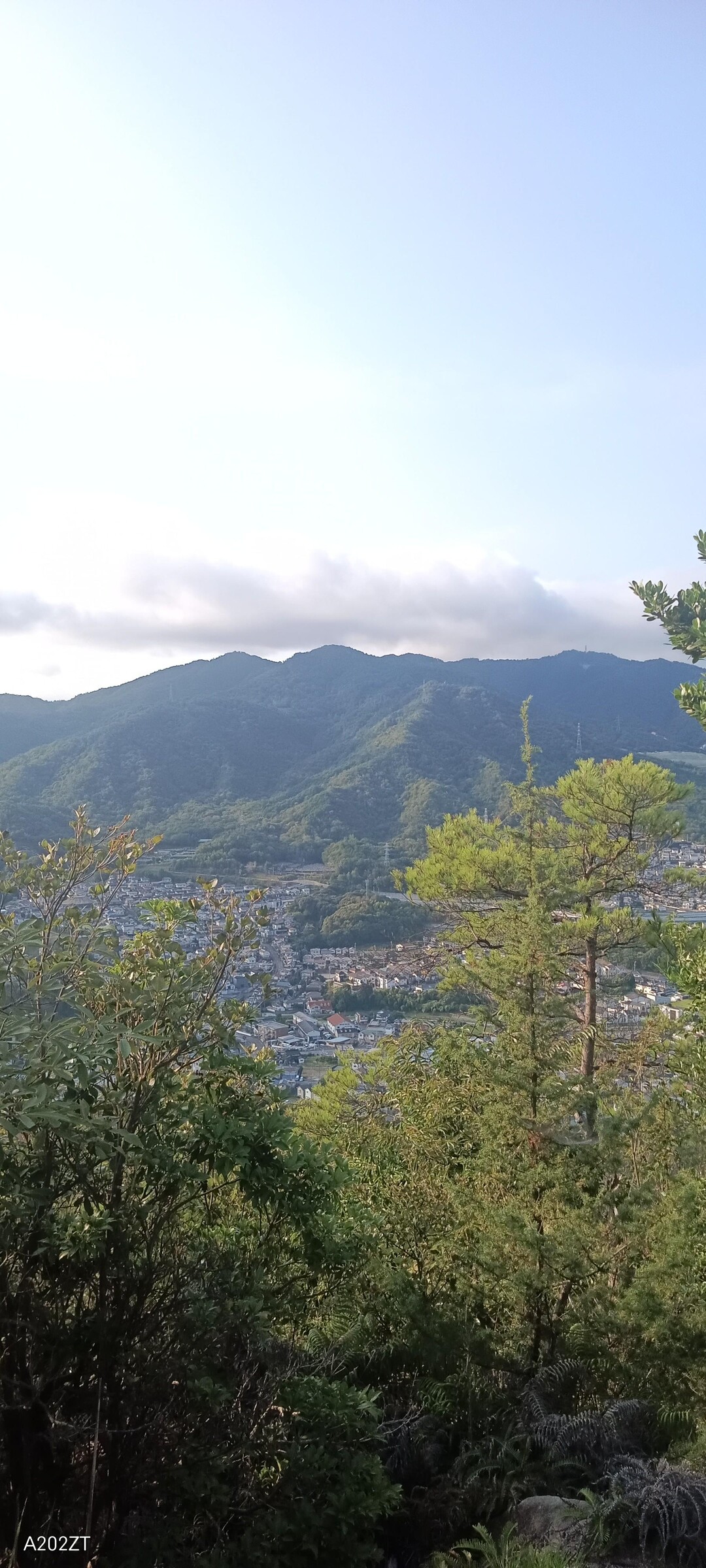 🇸🇪7️⃣の1km 木の宗山へ / 🇸🇪7⃣さんの二ヶ城山・松笠山の活動日記 | YAMAP / ヤマップ