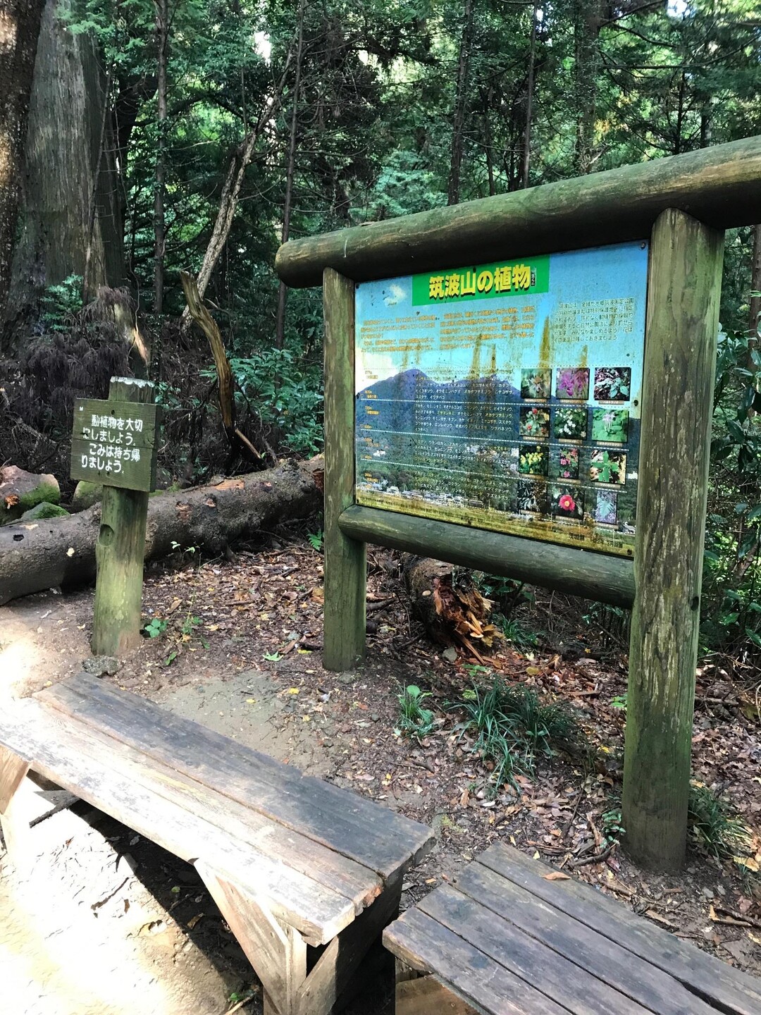 山っぷさんの投稿したフィールドメモ | YAMAP / ヤマップ