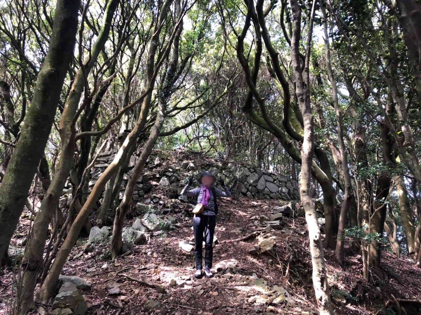 足立山・戸ノ上山-2020-03-29 / akkeyさんの足立山・戸ノ上山の活動データ | YAMAP / ヤマップ
