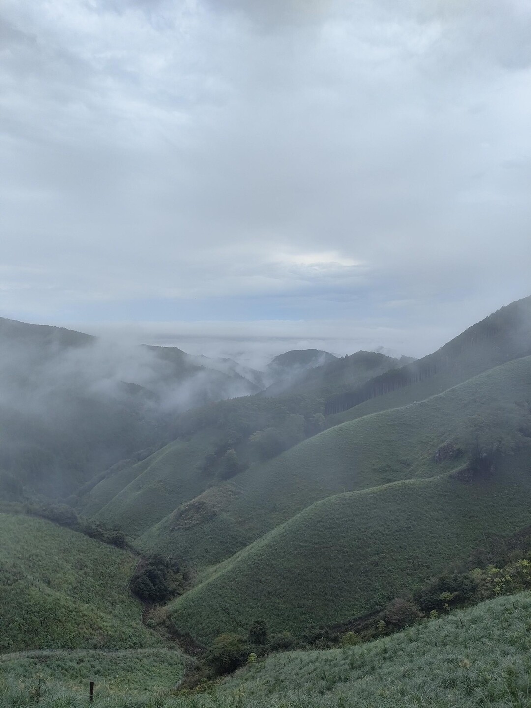 高水三山（高水山・岩茸石山・惣岳山) / 19751128さんの高水山・岩茸石山・惣岳山の活動データ | YAMAP / ヤマップ