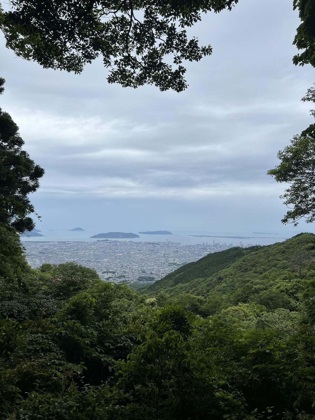 片江山・妙見山・油山 / kyoopoさんの油山・荒平山・片縄山の活動データ | YAMAP / ヤマップ