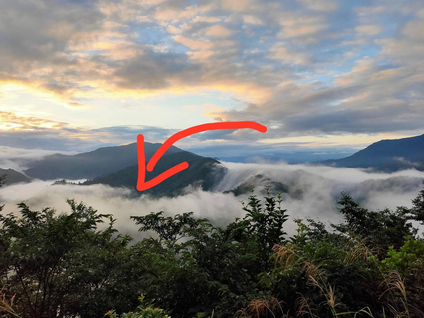 越後駒ヶ岳 / NKNMさんの越後駒ヶ岳・八海山・荒沢岳の活動データ | YAMAP / ヤマップ
