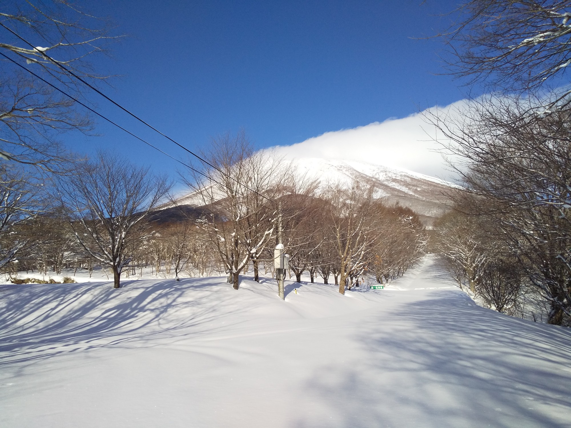 岩手山 馬返しまた撤退 / sola diceさんの岩手山・黒倉山・鞍掛山の活動データ | YAMAP / ヤマップ