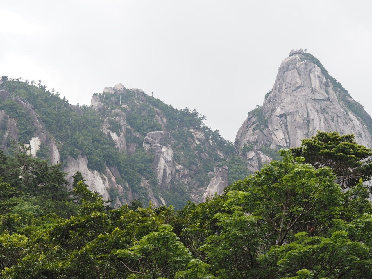 大崩山 / SABoさんの大崩山・五葉岳・新百姓山の活動データ | YAMAP / ヤマップ