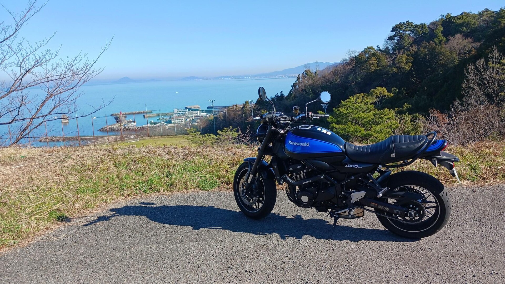 2024.02.18 春の訪れ / たけたけさんのモーメント | YAMAP / ヤマップ