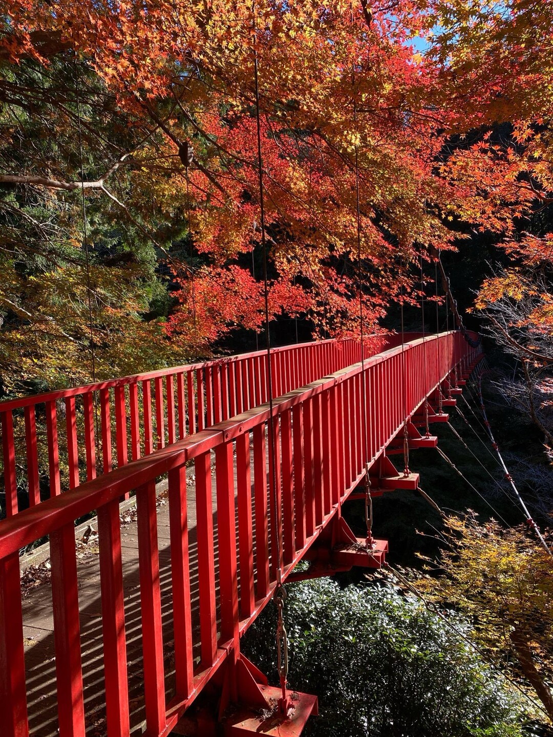 梟ヶ城址展望台 / papa^_^さんの六所山・炮烙山の活動データ | YAMAP / ヤマップ