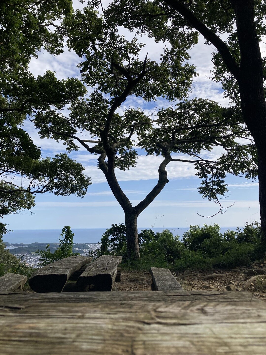 ちょこっとハイキング / LIGHTさんの鷲尾山・皿ヶ峰・宇津野山の活動データ | YAMAP / ヤマップ