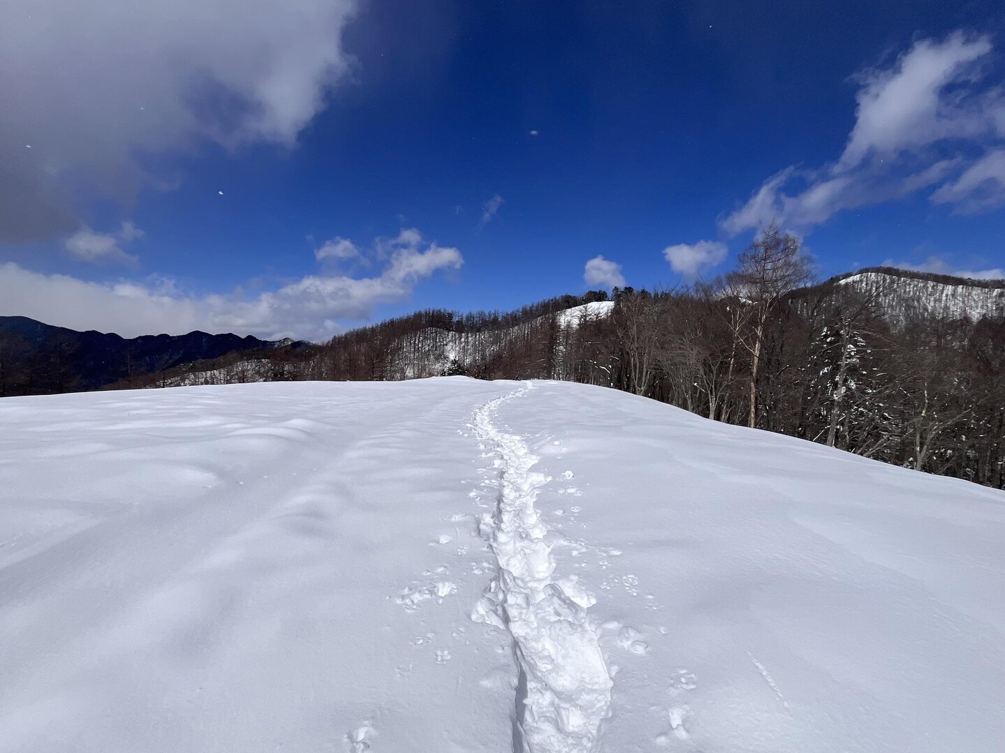 雪の雲取山（鴨沢ピストン） / katsさんの雲取山・鷹ノ巣山・七ツ石山の活動データ | YAMAP / ヤマップ