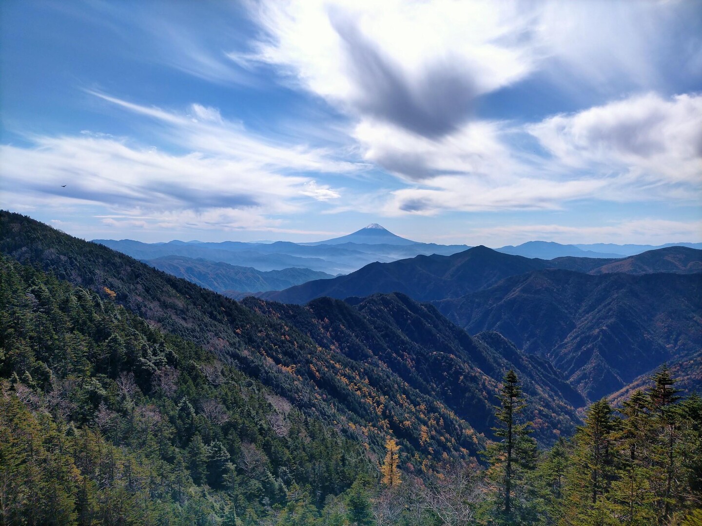 甲武信ヶ岳 / rag-masaさんの甲武信ヶ岳の活動データ | YAMAP / ヤマップ