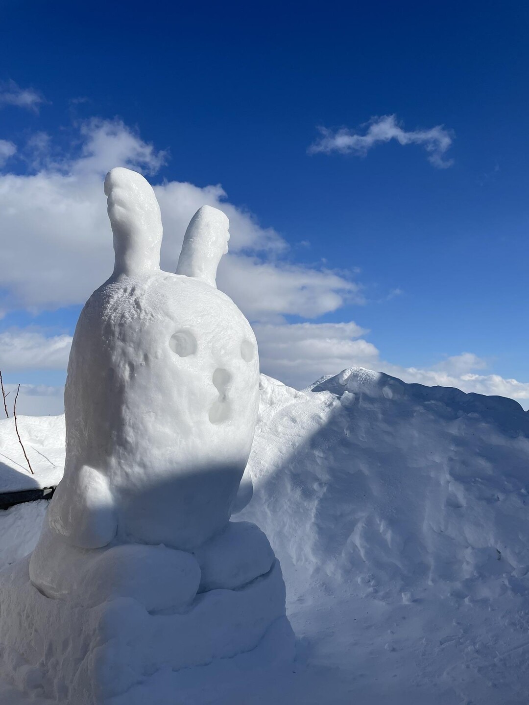 山鼻山・藻岩山③ / やまkumiさんの藻岩山の活動データ | YAMAP / ヤマップ