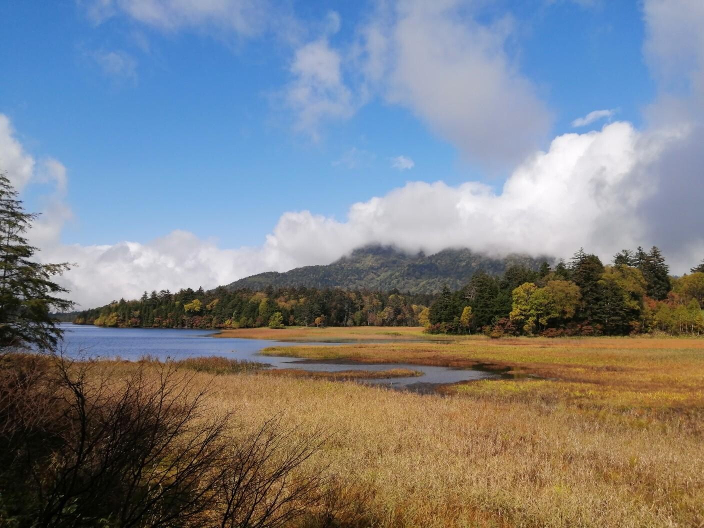 草紅葉輝く 尾瀬沼一周 / ellena15さんの尾瀬・燧ヶ岳の活動データ | YAMAP / ヤマップ