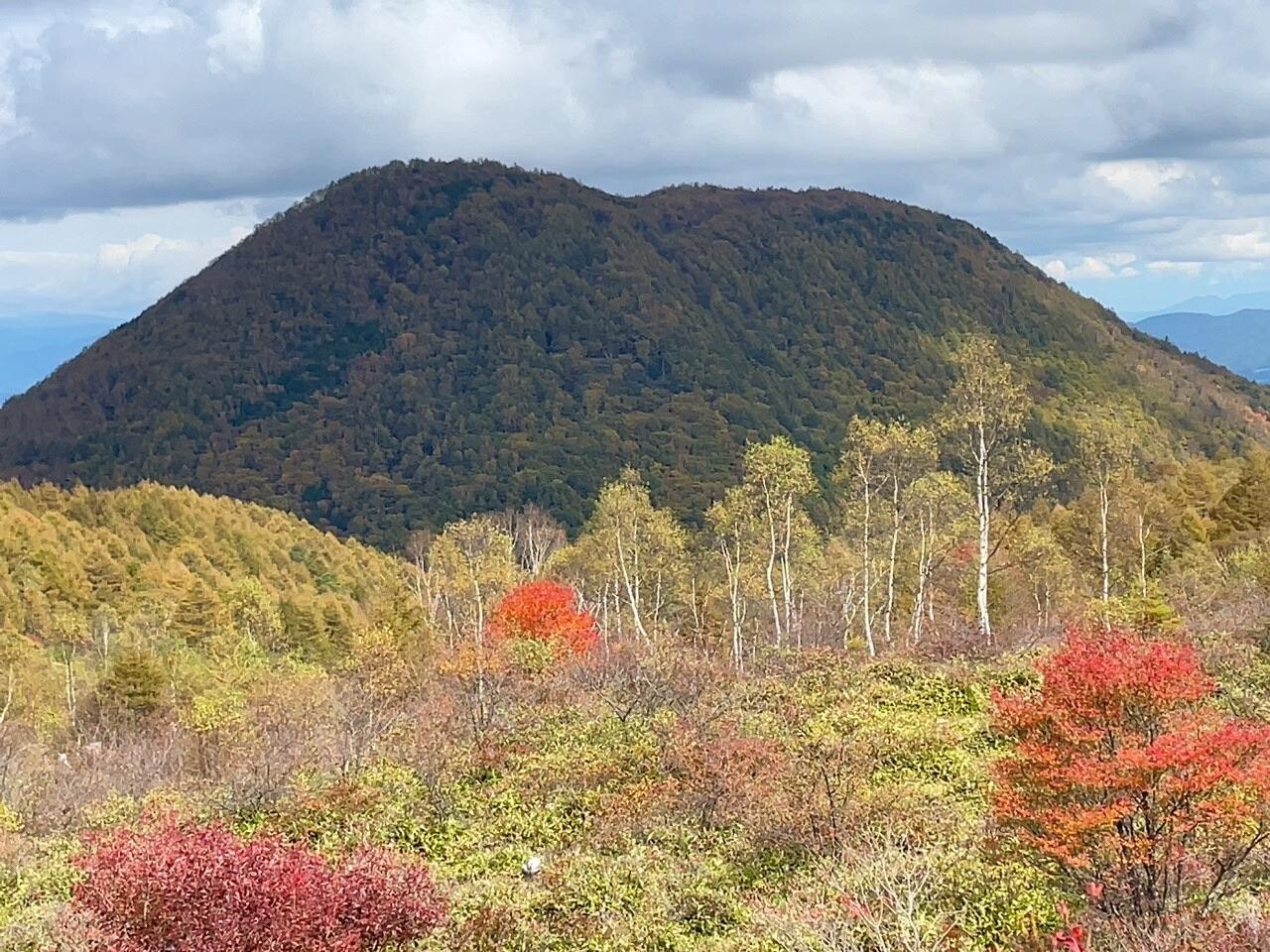 湯ノ丸山・湯ノ丸山(北峰) / しげSanさんの湯ノ丸山・角間山・鍋蓋山の活動データ | YAMAP / ヤマップ