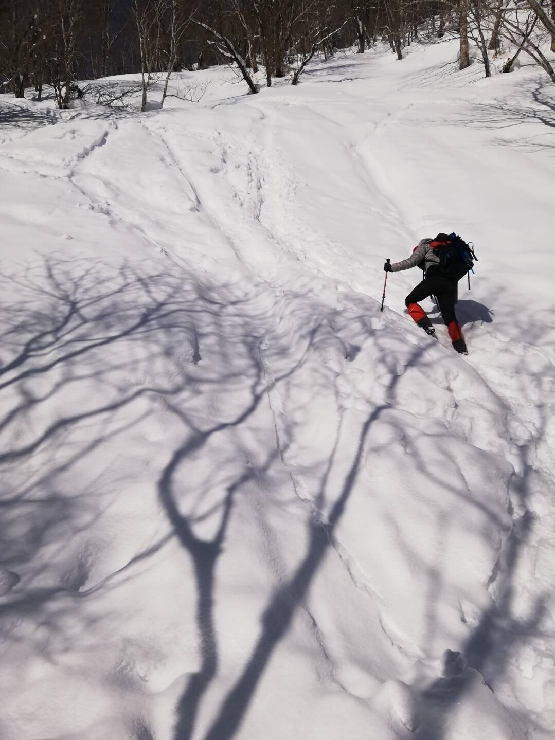 オコタンペ山 / aripapaさんの恵庭岳の活動データ | YAMAP / ヤマップ