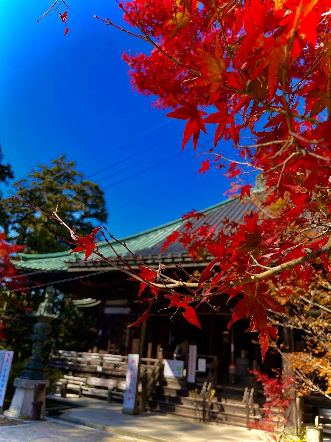 ダイヤモンドトレイル‼️参戦‼️ / ほの＆ひろ&BPさんの岩湧山・一徳防山・三石山の活動データ | YAMAP / ヤマップ