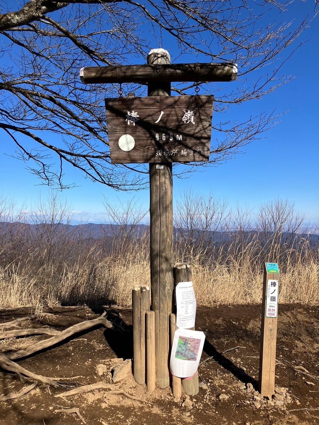 棒ノ嶺（棒ノ折山） / Rieさんの棒ノ折山（棒ノ嶺）の活動データ | YAMAP / ヤマップ