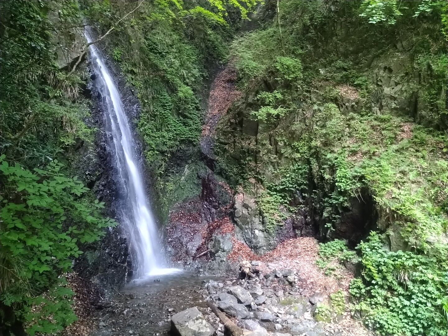 堀山の家から二俣 寄り道して黒竜の瀧 / takeriさんのウォーキングの活動日記 | YAMAP / ヤマップ