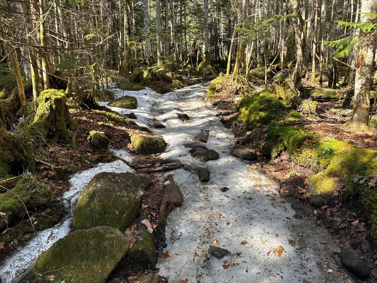 KANTAI山さんの投稿したフィールドメモ | YAMAP / ヤマップ