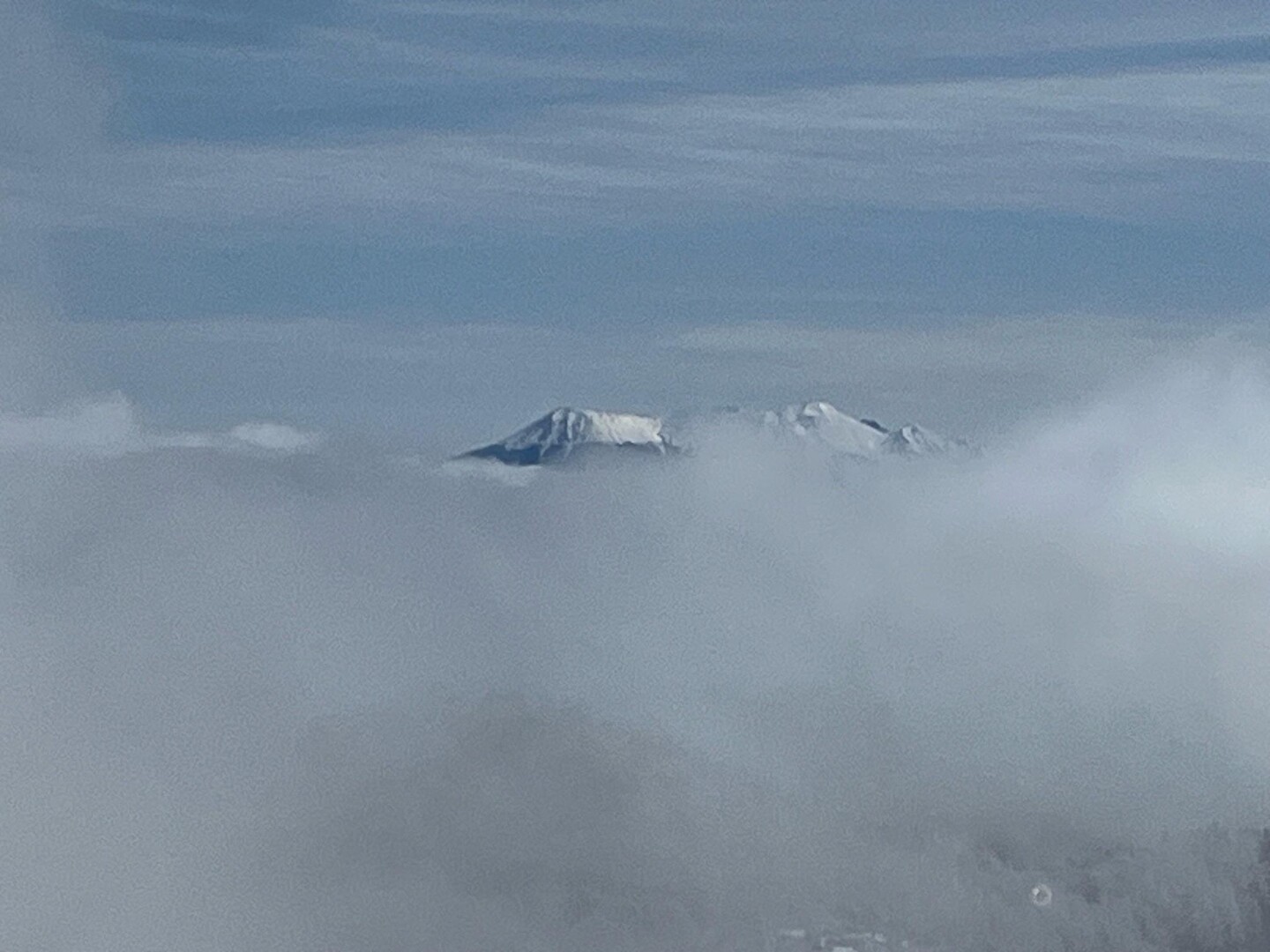 猪臥山 / jiro23さんの猪臥山の活動データ | YAMAP / ヤマップ