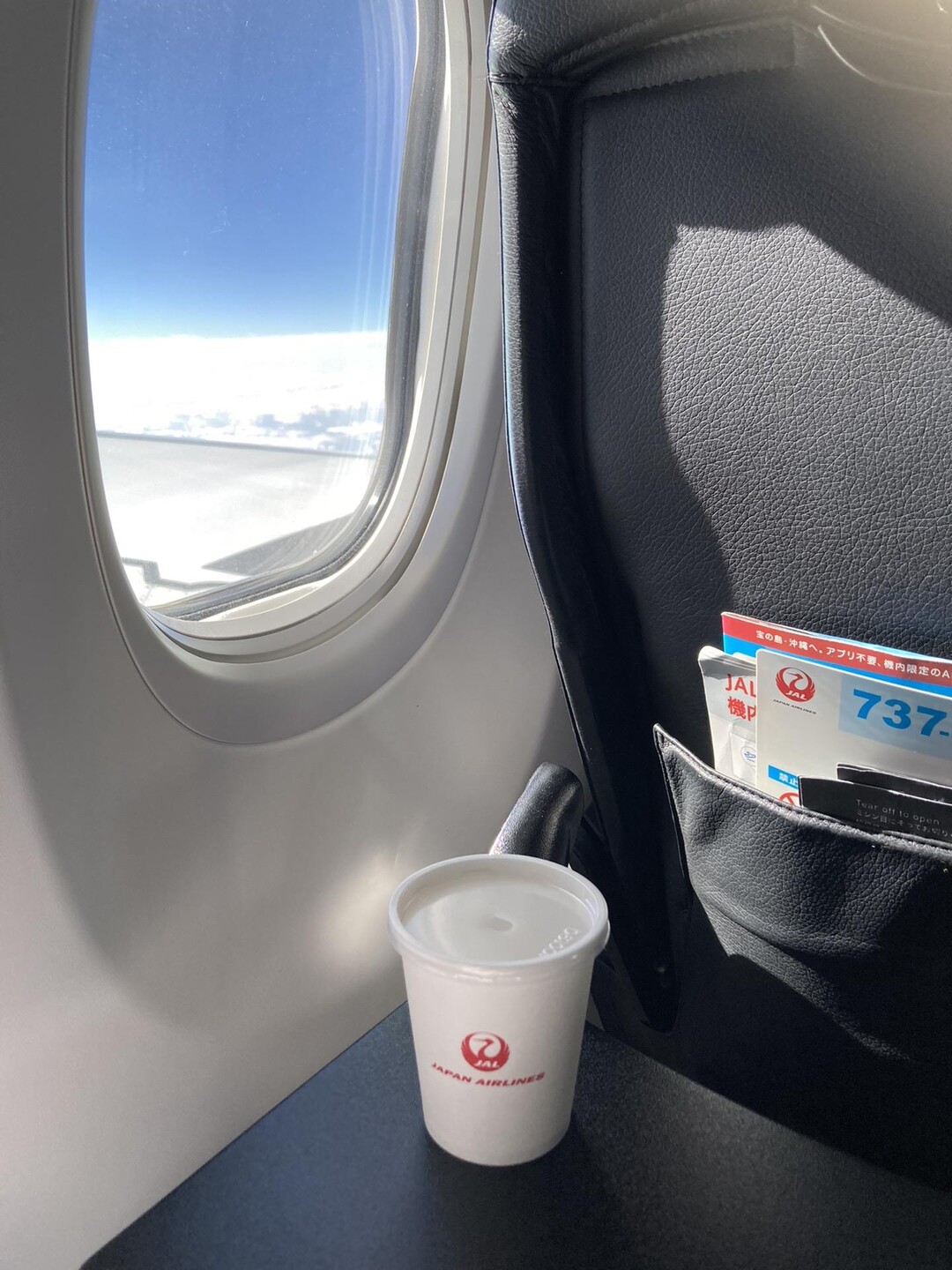 南国🏝へ 一気に12℃〜25℃🔥 旅... / tomoさんのモーメント | YAMAP / ヤマップ